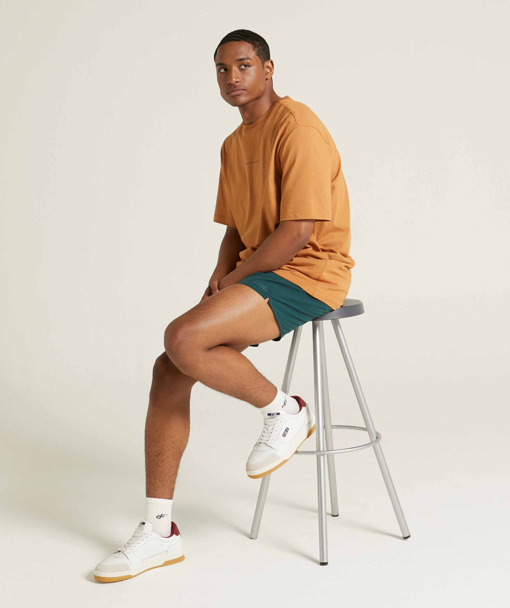 Mens Relaxed Fit Tee - Toasty | Tops | FOM SA