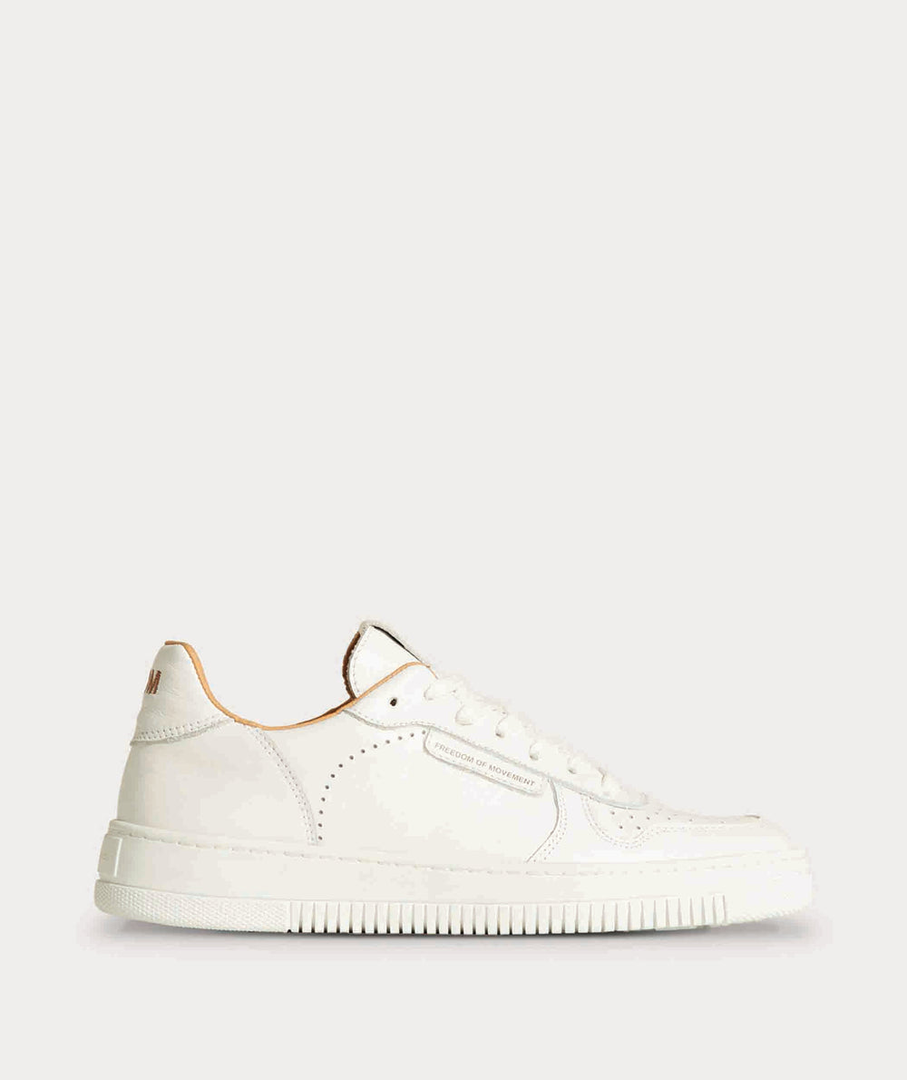 Men's Tekkies | Buy Quality Tekkies For Men Online or In-store | FOM
